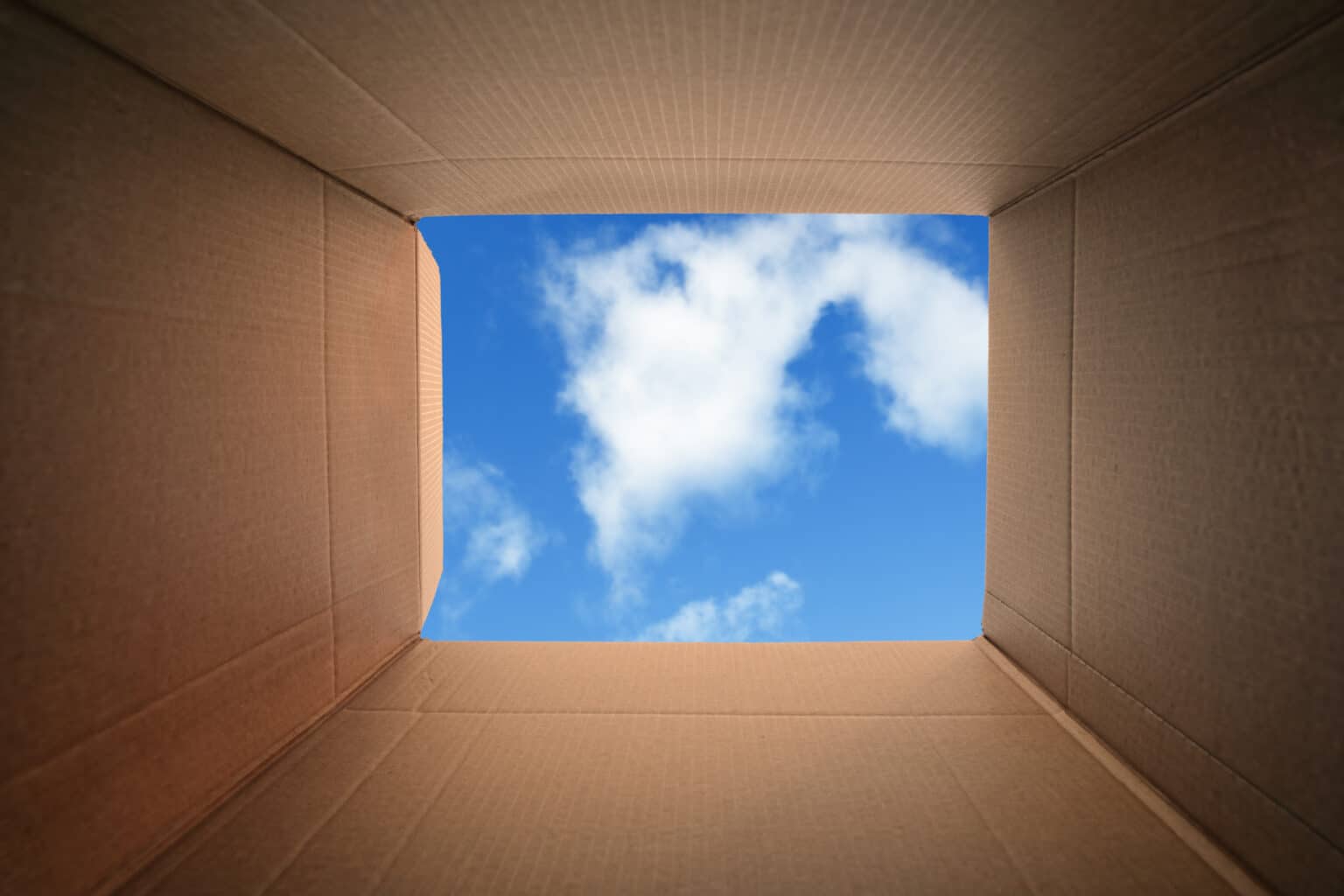Don’t Think Out of the Box – Think Like there is No Box! - Mogel
